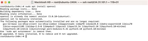 How To Configure Ssl For Nginx On Ubuntu 2404 Devtutorial