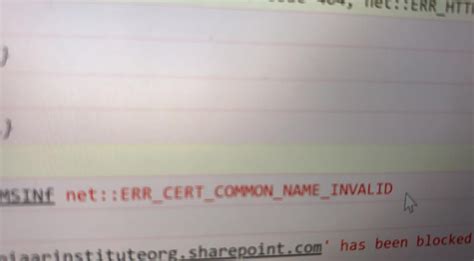 err cert common name invalid issue while accessing my custom api from
