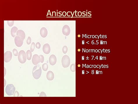 Ppt Attention Powerpoint Presentation Free Download Id 9388744