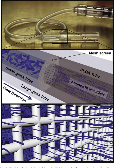 Figure 1 From A Bioengineered Peripheral Nerve Construct Using Aligned