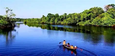 Expedicion RiÓ Napo Y Amazonas 7 DÍas Viajes Angel