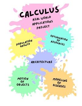 Calculus Real World Applications End Of Year Project TPT