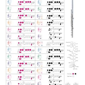 Flute Fingering Chart With Color Coded Notes Learn Flute Technique Suitable For All Levels