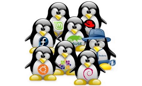 Pengertian Distro Linux Dan Macam Macam Distro Linux Lengkap