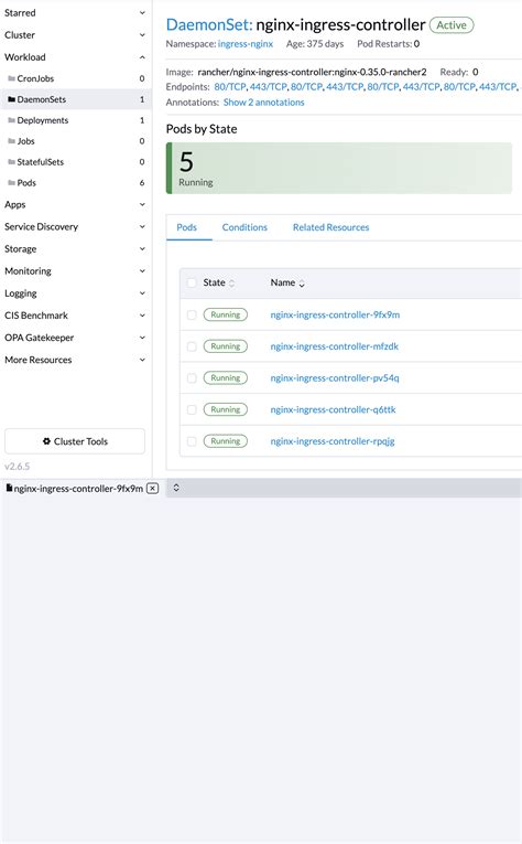 Rancher Server Web Ui Does Not Show Logging Content Of Any Pod In The