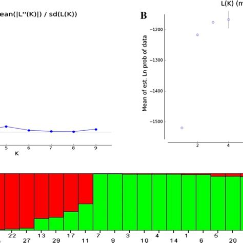 population structure of the 29 persian walnut genotypes inferred using