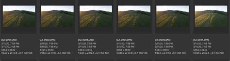 Bridgecamera Raw Previews Mismatch Adobe Product Community 10975937