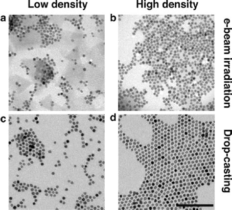 Figure 3 From Direct Observation Of Nanoparticle Superlattice Formation By Using Liquid Cell