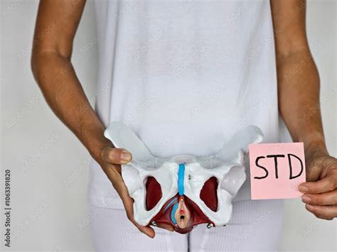 Understanding The Anatomy Of The Pelvis While Discussing Sexually