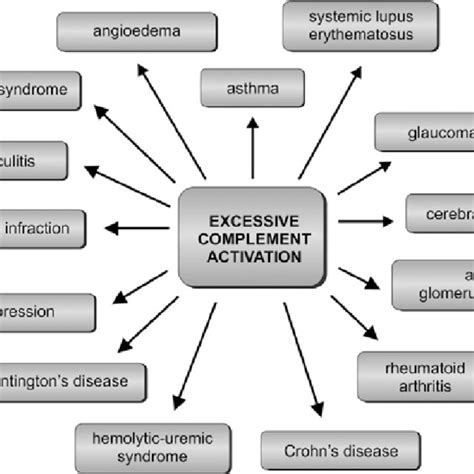 Selected Diseases And Syndromes Associated With Excessive Complement Download Scientific