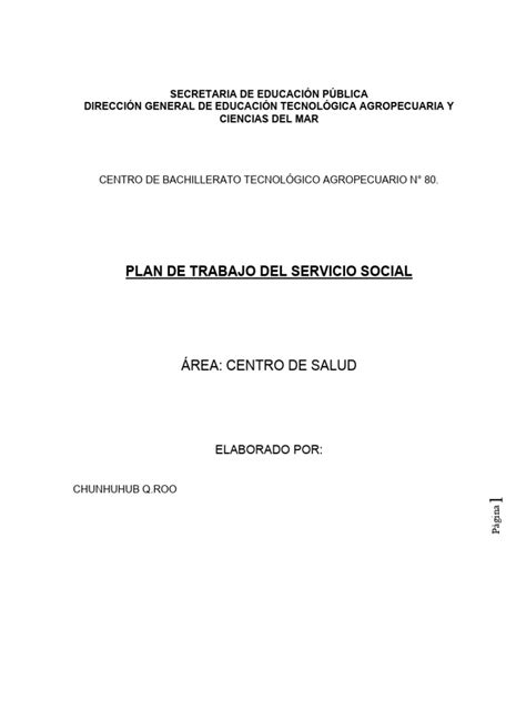 Plan De Trabajo 2024 125613 Pdf