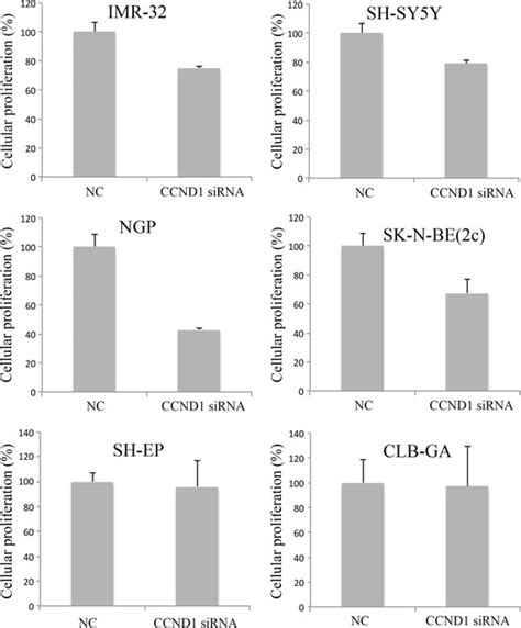 Assessment Of Cellular Proliferation After Knockdown Of Ccnd1 The Download Scientific Diagram