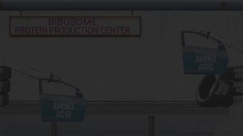 Regeneron On Linkedin Discover Our Gene Silencing Capabilities