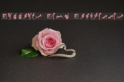 Darrians Sexy Silouettes Font