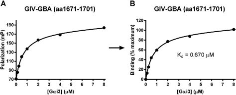 Figure 1 From Fluorescence Polarization Assays To Measure Interactions
