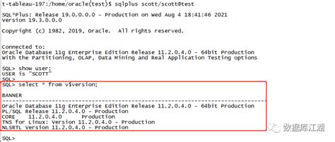linux7 静默安装 oracle 19c 客户端 墨天轮