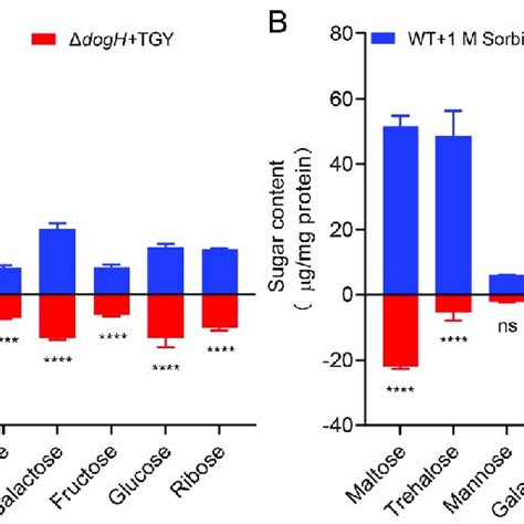 Gc Ms Quantitative Analysis Of Carbohydrate Metabolites In D Download Scientific Diagram