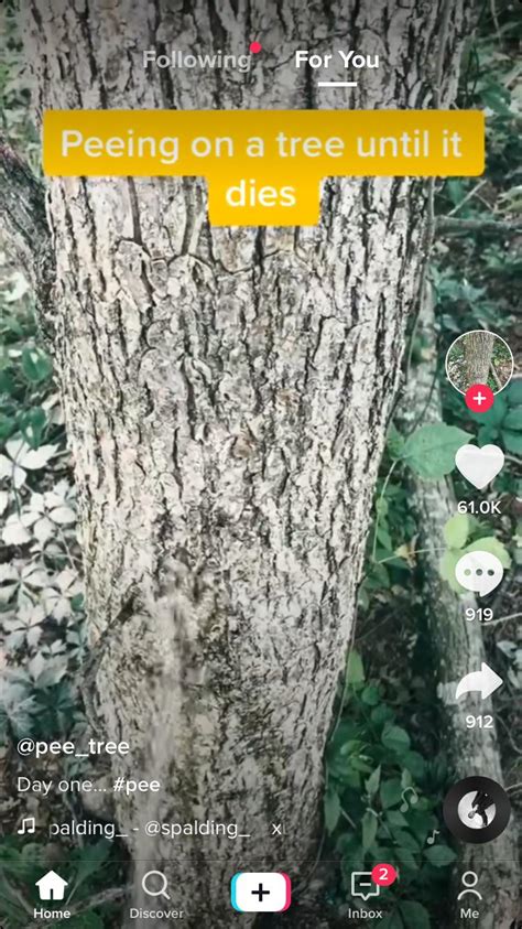 Pee Tree R Comedyheaven