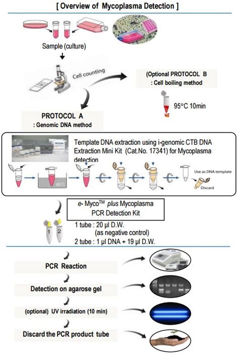 E Myco Plus Pcr Detection Kit Life Sciences