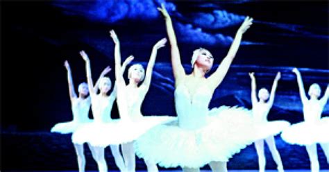 미리 가보는 캠퍼스 ⑪ 한국예술종합학교