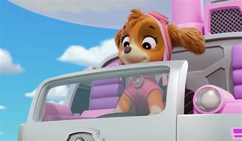 Skye 💖 Skye Paw Patrol Paw Patrol Characters Paw Patrol Pups