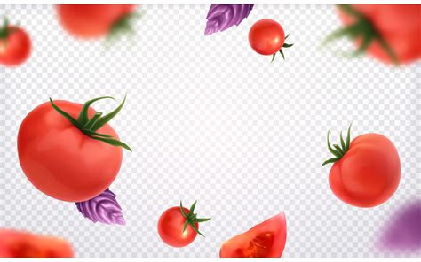 Tomato Background Realistic Vector Illustration Concept