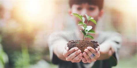 Planting Trees Reduce Global Warming Prevention And Treatment Air Pollution Environmental And