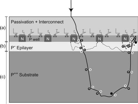 Schematic Of Maps Detector Shown In Cross Section The Detector Has Download Scientific Diagram