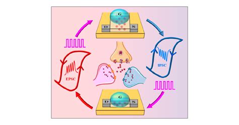 Synaptic Characteristics And Neuromorphic Computing Enabled By Oxygen Vacancy Migration Based On