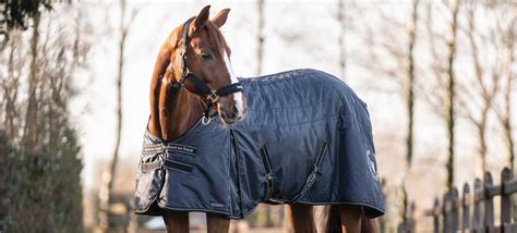 Pferd Back On Track Germany