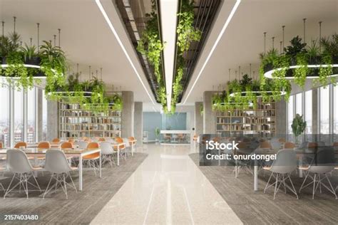책장 테이블 의자 펜던트 조명 및 덩굴 식물이 있는 친환경 도서관 인테리어 0명에 대한 스톡 사진 및 기타 이미지 0명 3차원 형태 개체 그룹 Istock