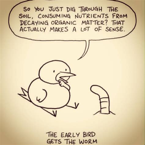 The Early Bird And The Worm Memes Nerd Humor Funny Memes Funny Quotes