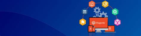 dynamic magento website development dr infosoft