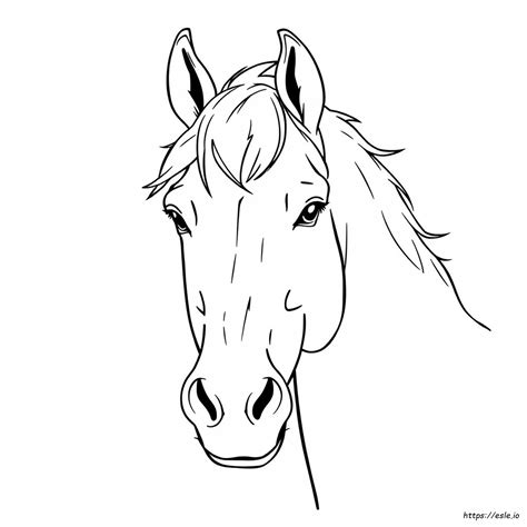 Printable Realistic Horse Head Coloring Pages