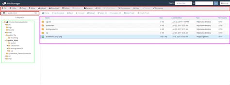 Features Of File Manager In CPanel ServerCake