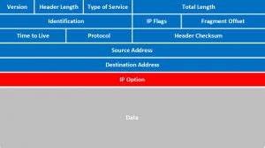 IPv Packet Header