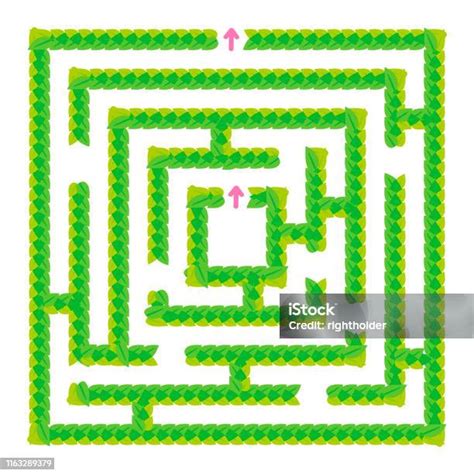 나뭇잎의 간단한 녹색 미로 아이들을위한 게임 아이들을위한 퍼즐 입구 1개 출구 1개 미로 수수께끼 흰색 배경에 격리된 플랫 벡터