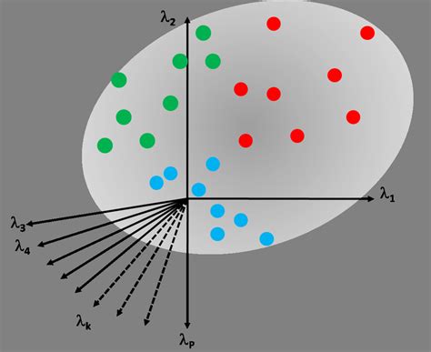 3 Space Decomposition Download Scientific Diagram