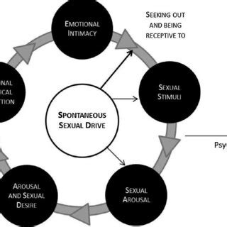 Kaplan S Three Stage Model Of Sexual Response Download Scientific Diagram