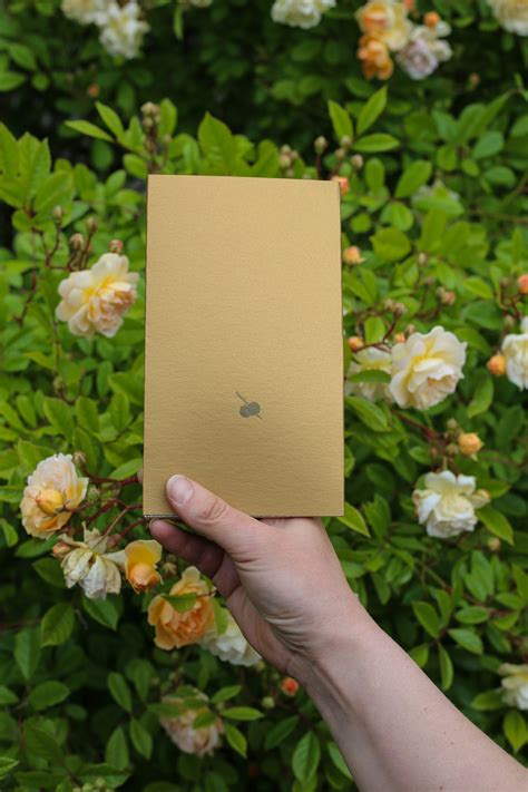 The Book Of Definitions Ross Robbins — Two Plum Press