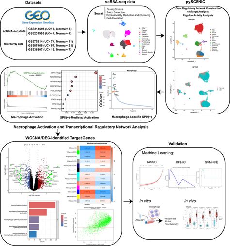 Frontiers Integrative Analysis Of Single Cell And Microarray Data