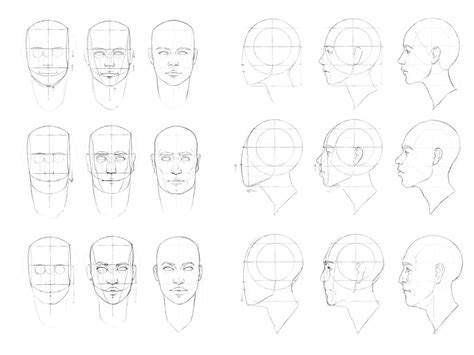 Loomis Method Front And Profile Full ImgBB Profile Drawing Loomis