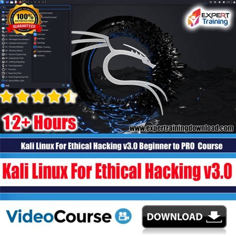 Kali Linux For Ethical Hacking V30 Beginner To Pro Expert Training