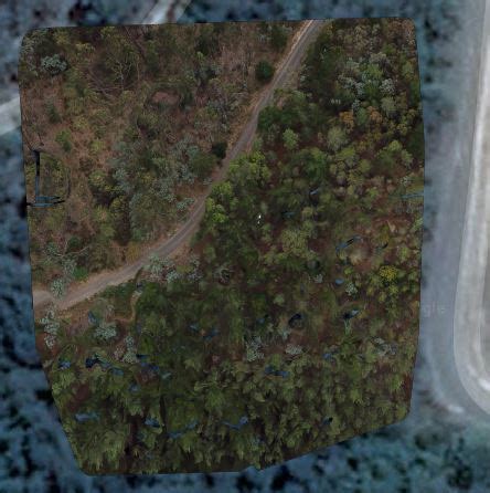Stripes On Point Cloud Georeferencing Is Out Issue OpenDroneMap WebODM GitHub