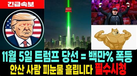 마가코인 Maga 긴급속보 11월 5일 트럼프 당선 백만 폭등 안산 사람 피눈물 흘립니다 필수시청 코미녀tv Youtube