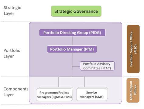 An Overview Of The Pfm² Portfolio Management Methodology Pm² Alliance