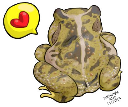 Explore The Best Toadbutt Art Deviantart