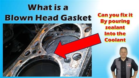 What is a blown head gasket – Can you fix a blown head gasket by ...