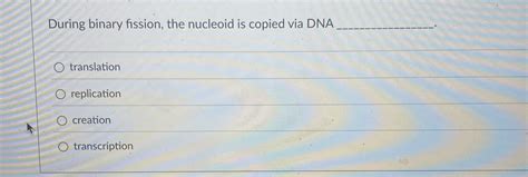 Solved During Binary Fission The Nucleoid Is Copied Via