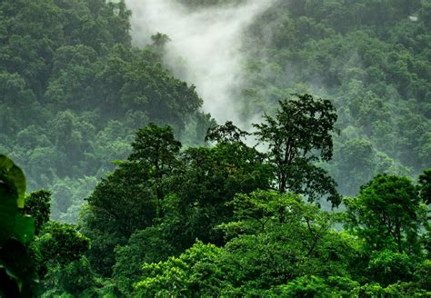 Ibm Adds Sustainability Numbers With Ibm Cloud Carbon Calculator